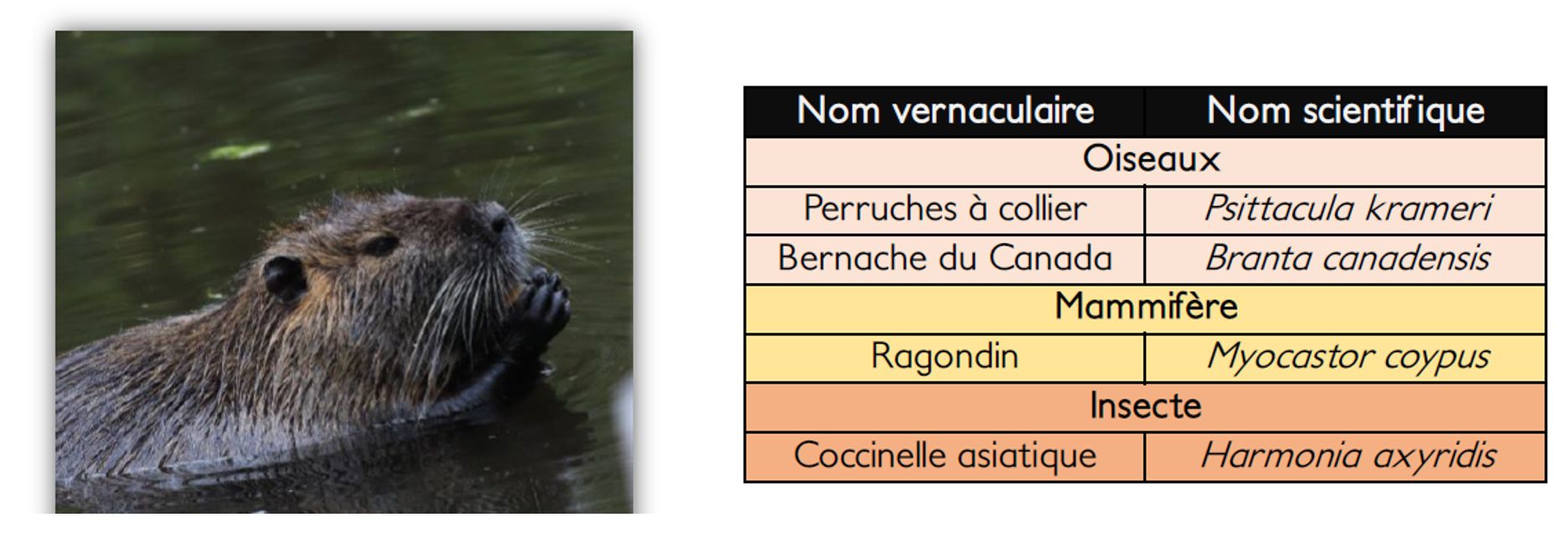 Biodiversité